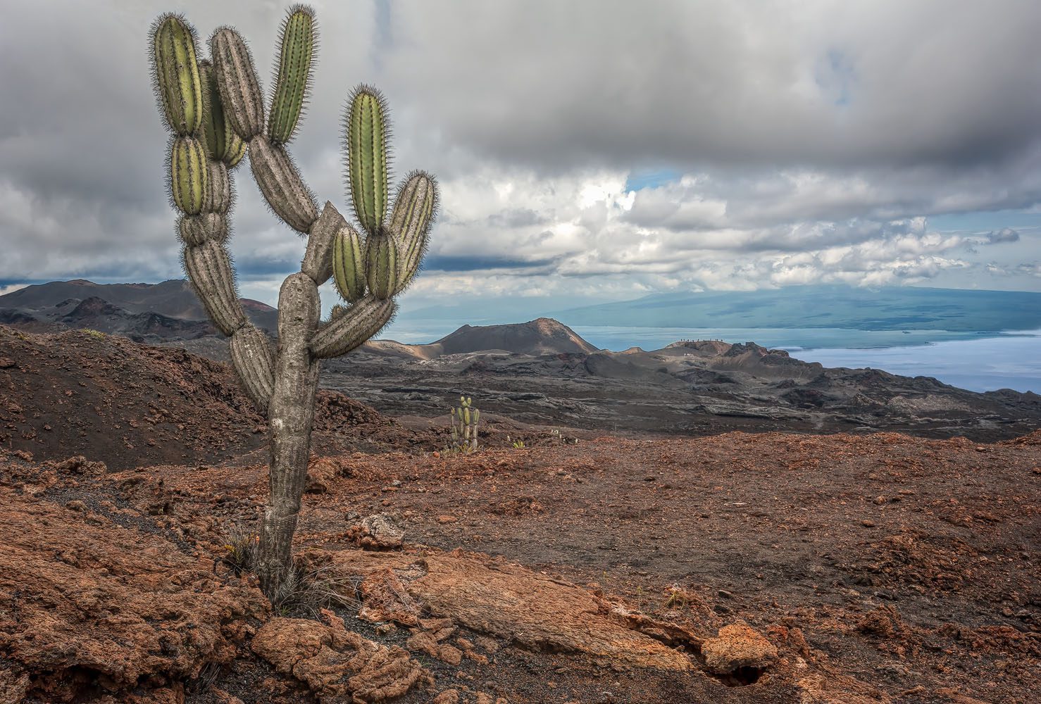 Pinta Island Landscape